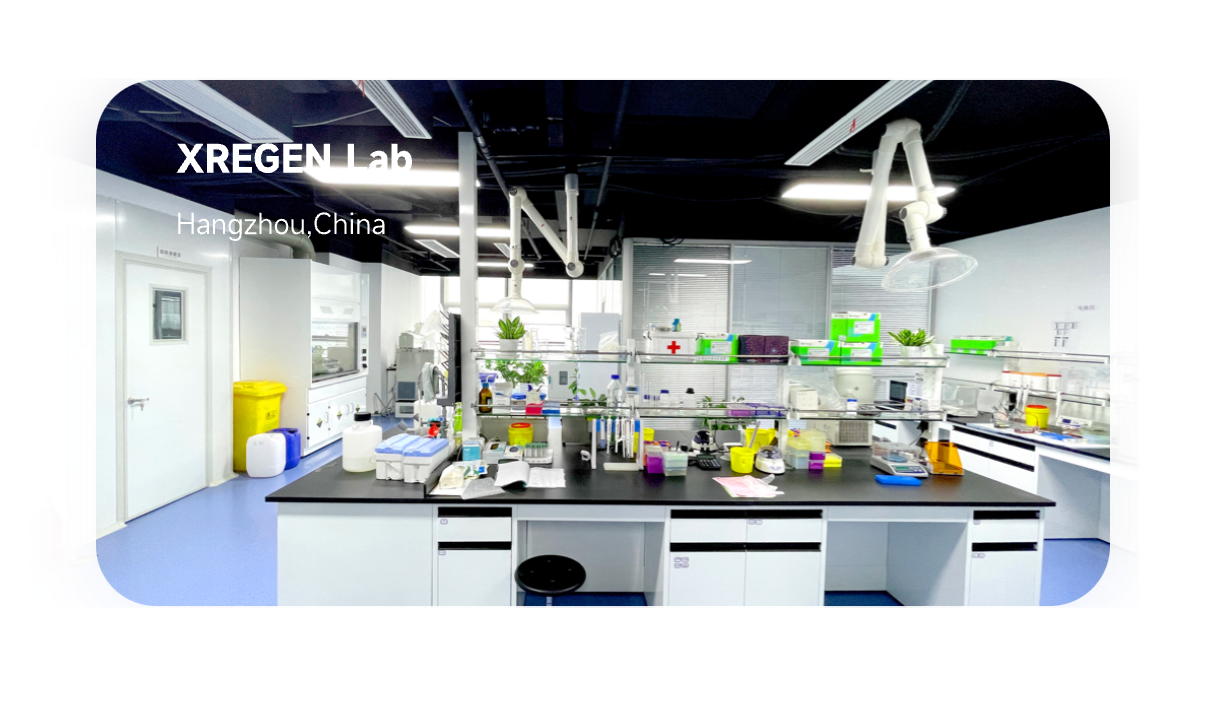 Index [www.agebox.com]